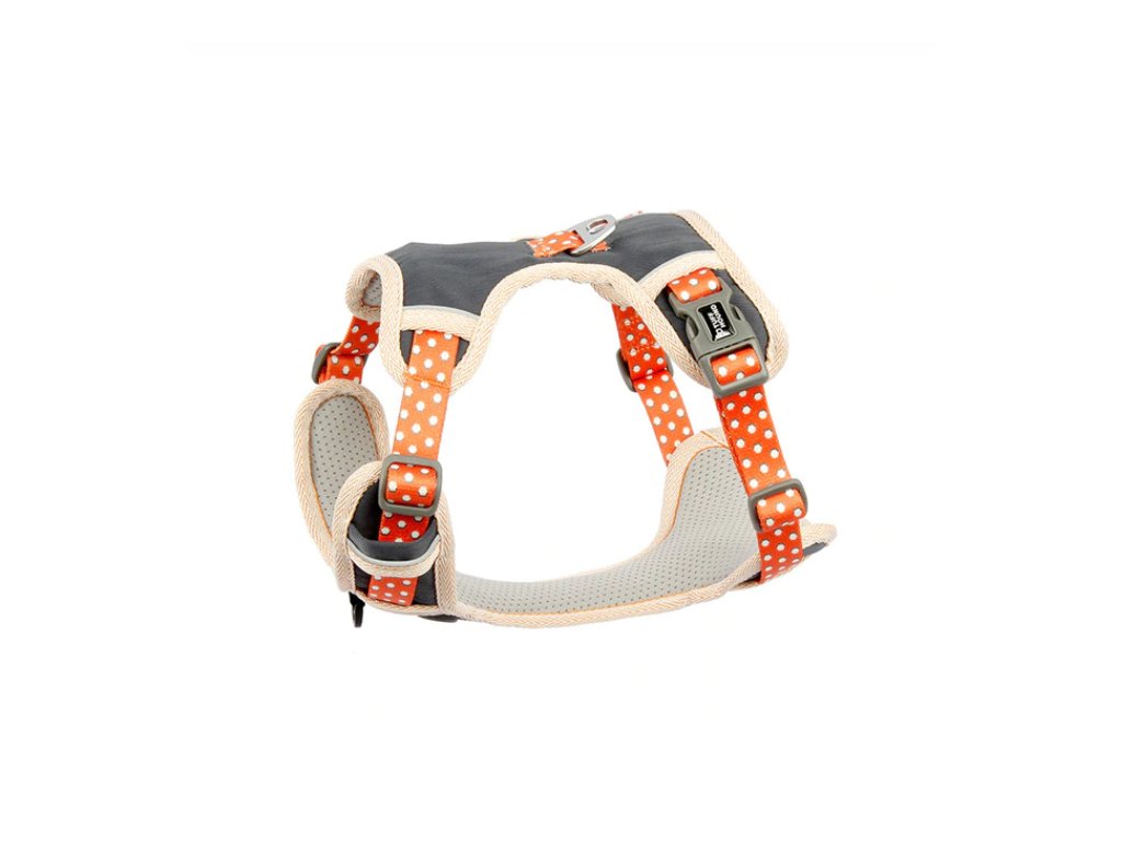 Reflexný postroj pre psa – viditeľnosť a bezpečie | Postroje pre šteňa ...